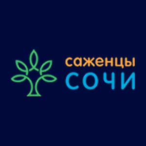 Эвкалипт Обыкновенный Саженцы Купить 1,5-3 м Цена 300 руб. Распродажа ...
